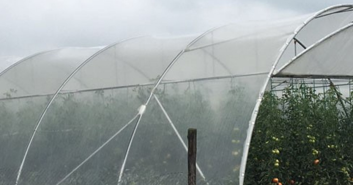 Folie Solar | Folie Profesionala Solarii | Vezi Preturile pe Agroverde.ro